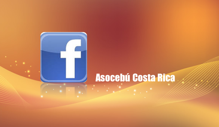 Buscanos en Facebook! | Asocebu